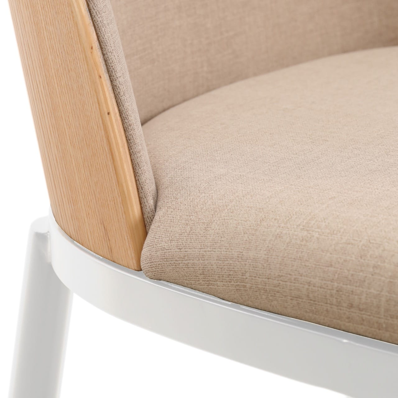 Tule Mid-Century Modern Dining Side Chair w/Velvet Seat & White Powder ...
