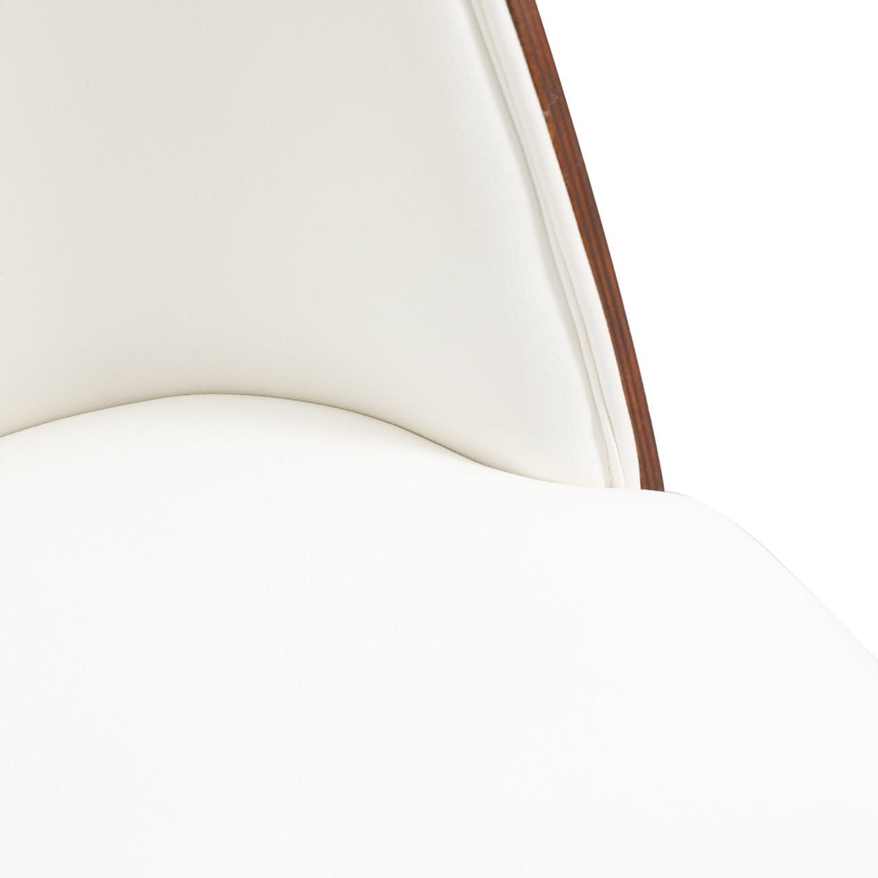 Tule Mid-Century Modern Dining Side Chair w/Leather Seat & White Powder ...