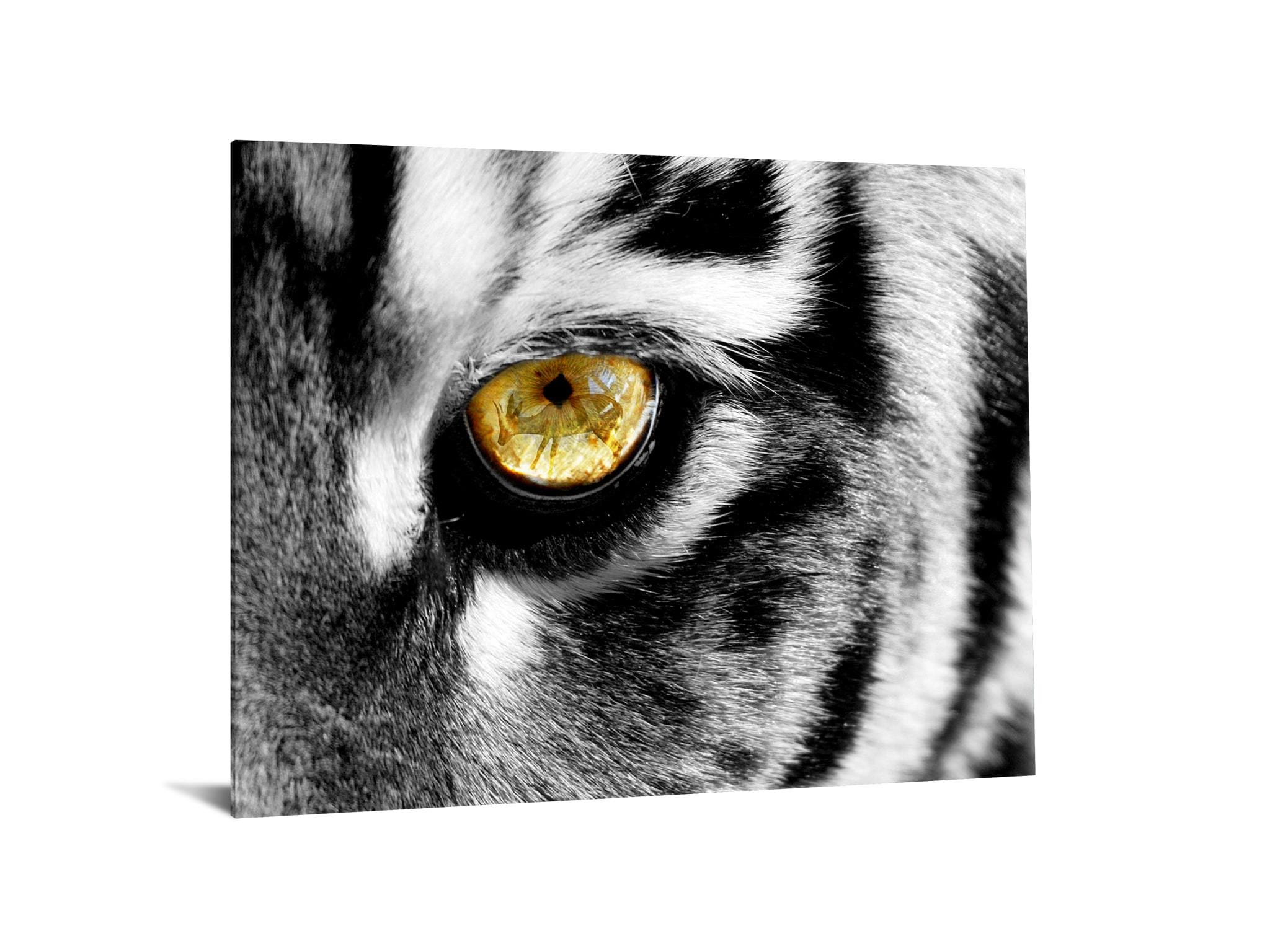 SF1387 Temp Glass w/Foil - Eye of a Tiger (40x60) at Futonland