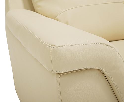 Special Order Sirus Sofa by Palliser