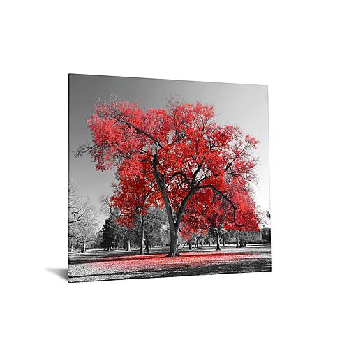 SF1373 Temp Glass w/Foil - Red Tree (50x50) at Futonland